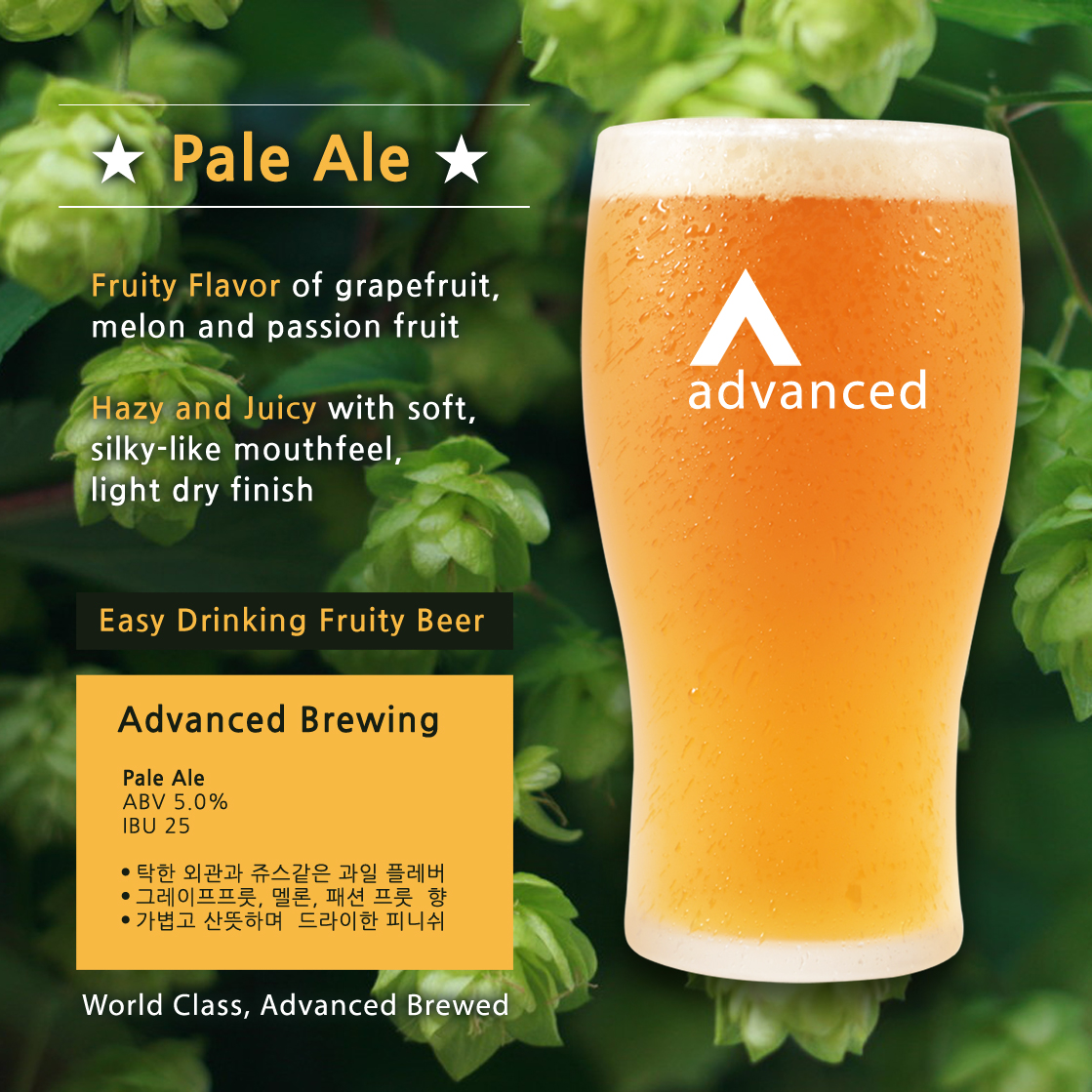 어드밴스드 페일 에일 | Advanced Pale Ale | 비어라이킷 beerlikeit