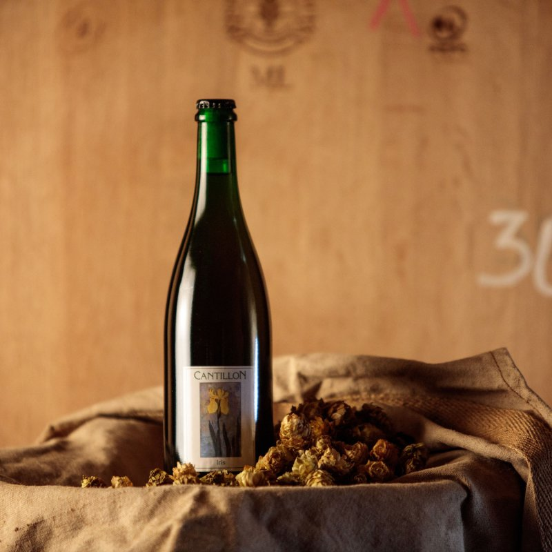 깐띠용 아이리스 | Cantillon Iris | 비어라이킷 beerlikeit